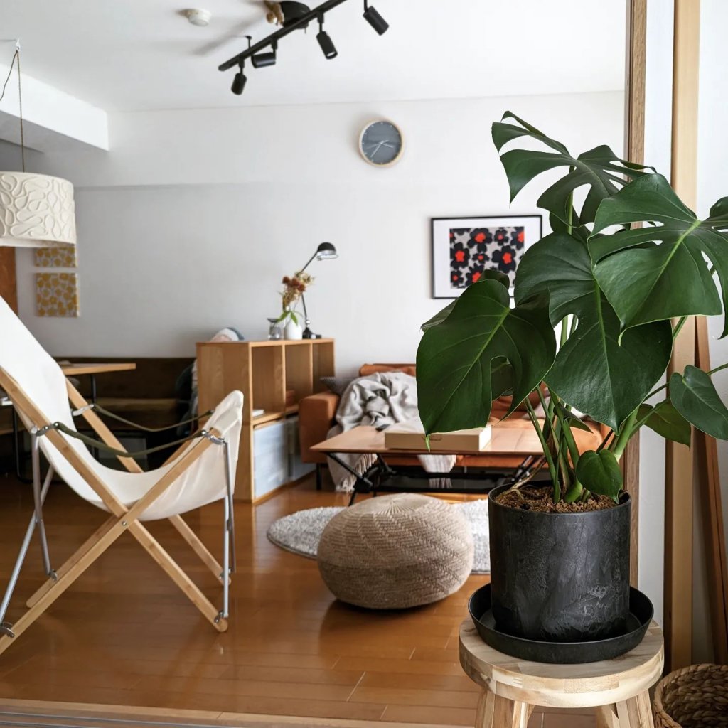 家具配置の巧みなバランスでゆったりくつろぐ。二人暮らしの2LDKインテリア 【私らしく暮らす】 | ライフスタイル | カルチャー ＆ ライフ | FUDGE.jp